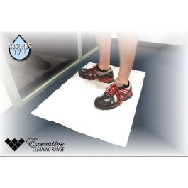WWWCS Executive Cleaning 60 x 90cm TouchDry Pad - Window Cleaning